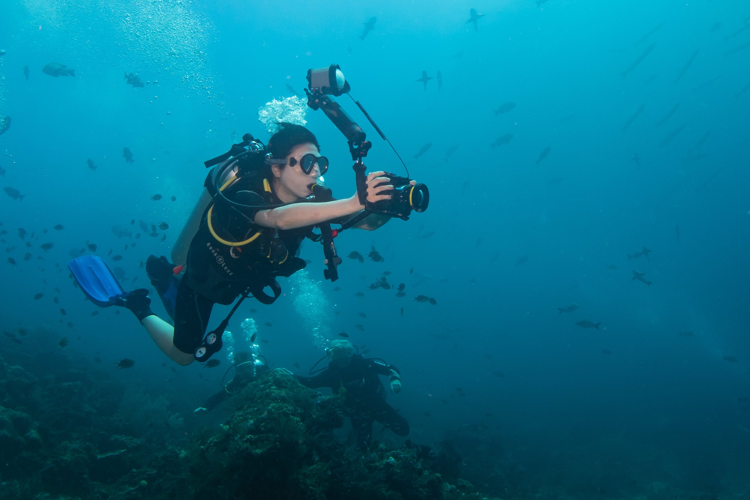 Getting The Most Out Of Your Underwater Camera In Raja Ampat | Scuba Republic